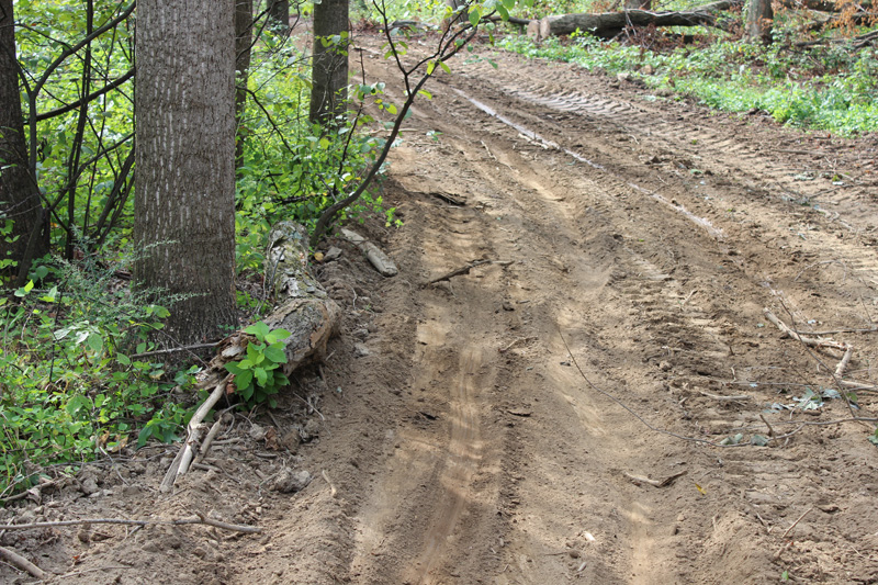 Tri-State Timber: Award Winning Timber Company