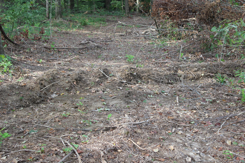 Tri-State Timber: Award Winning Timber Company